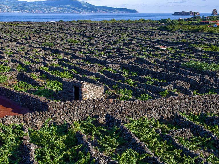 Azores Family Adventure Holiday | Volcanoes & Calderas